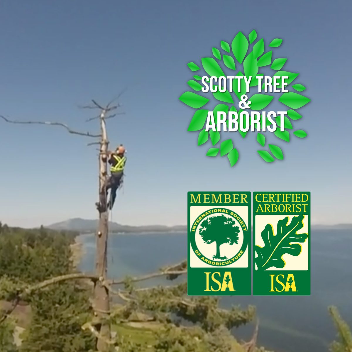 Scotty Tree Service & Arborist Service - ISA Certified Arborist®